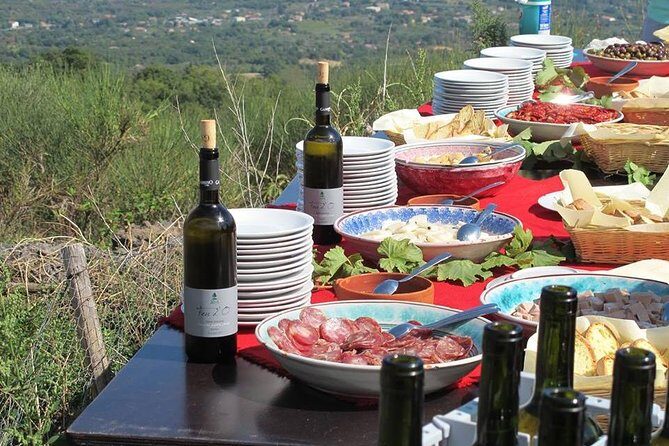 Private tour of Etna and Winery Visit with Food and Wine Tasting from Taormina - What Makes This Tour Stand Out?