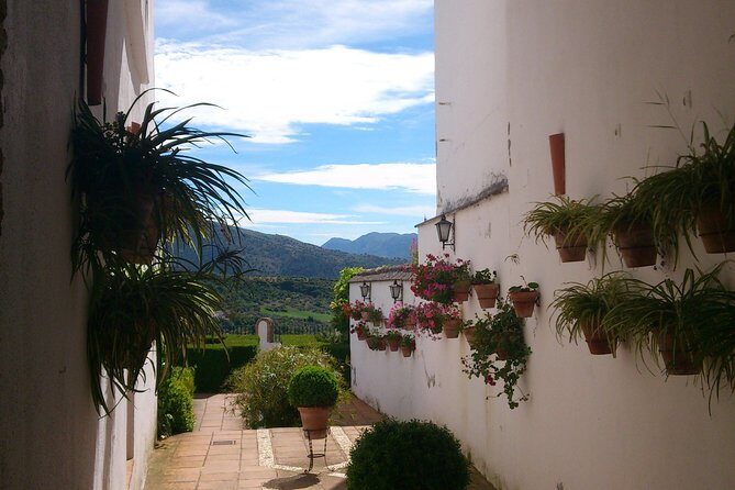 Private White Villages & Ronda Day Tour from Seville - What We Love About This Tour
