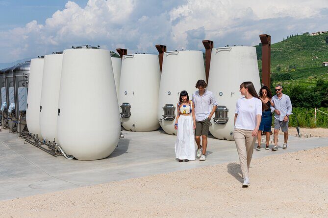 Prosecco tasting, appetizers and tour of the cellar and vineyards - The Itinerary: From Vine to Glass