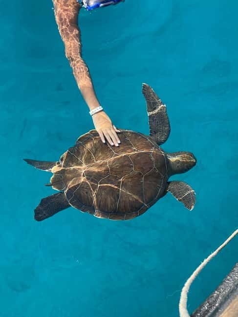 Protaras: Blue Lagoon and Turtles Pirate Cruise - Swimming and Snorkeling Highlights