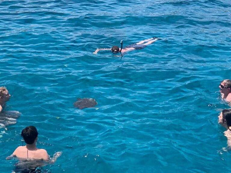 Protaras: Luxury Yacht Cruise with slide, BBQ Lunch & Drink - Comfort, Facilities, and Family Appeal