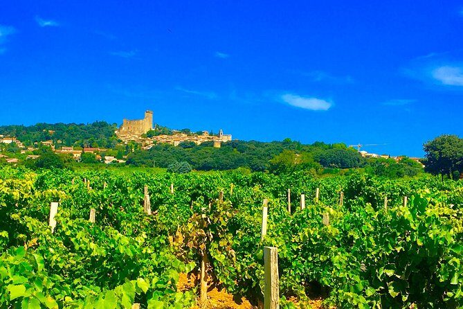 Provence Cru Wine Small-Group Half-Day Tour from Avignon - The Experience: Pros and Cons