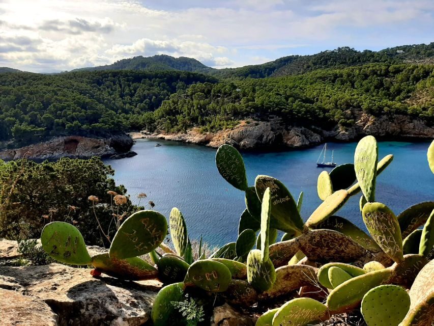 Puerto de San Miguel: Can Marçá Cave Guided Tour with Entry - Who Will Love This Tour?
