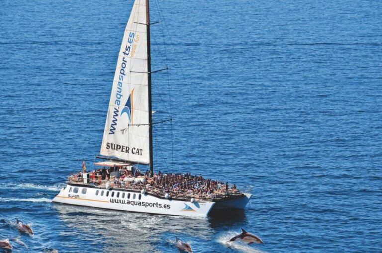 Puerto Rico : 2 hour Dolphin Catamaran Excursion - Marine Wildlife and Sightings