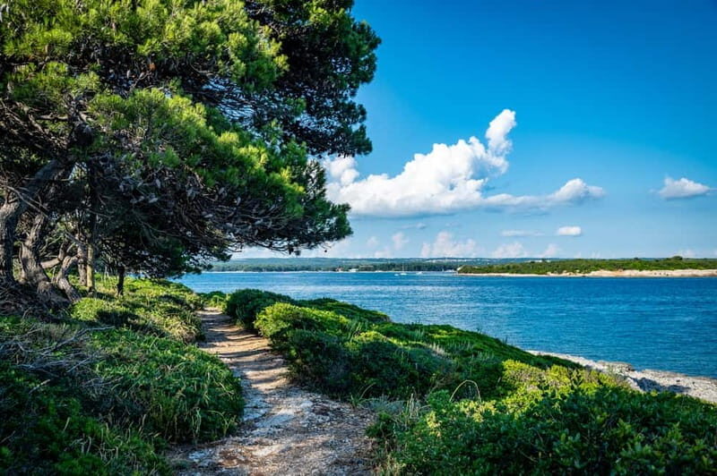 Pula: National Park Brijuni, 2 swimming stops, lunch, drinks - Pros and Cons Based on Real Experiences