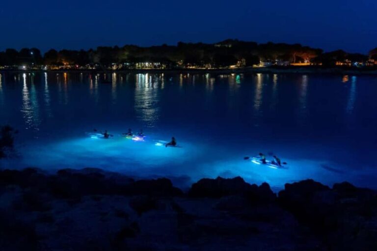 Pula: Night Kayak Tour with Glowing Kayaks - Who Should Consider This Tour?