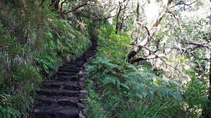 Rabaçal: 25 Fontes & Risco Levada Hiking Transfer - Authentic Insights from Reviewers