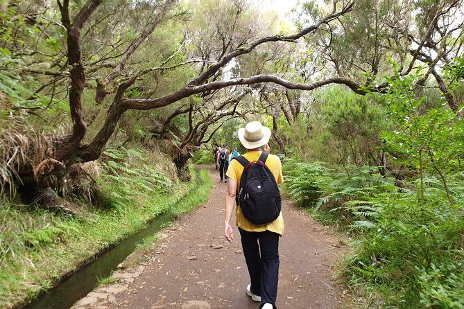 Rabaçal - 25 Fonts - FAQ