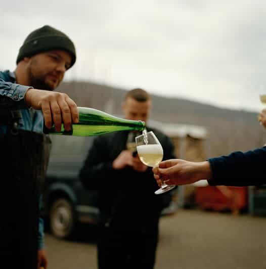 Reil, Mosel: Guided organic wine tasting and cellar tour - The Experience: What to Expect from This Tour