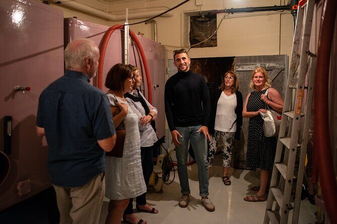 Reims afternoon tour Champagne and family growers - Transportation and Group Size: Why It Matters