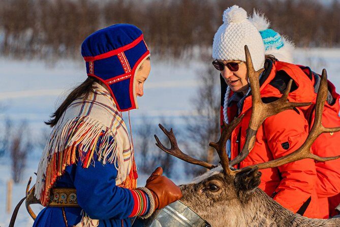 Reindeer feeding & Saami Culture - What Reviewers Say: Honest Insights