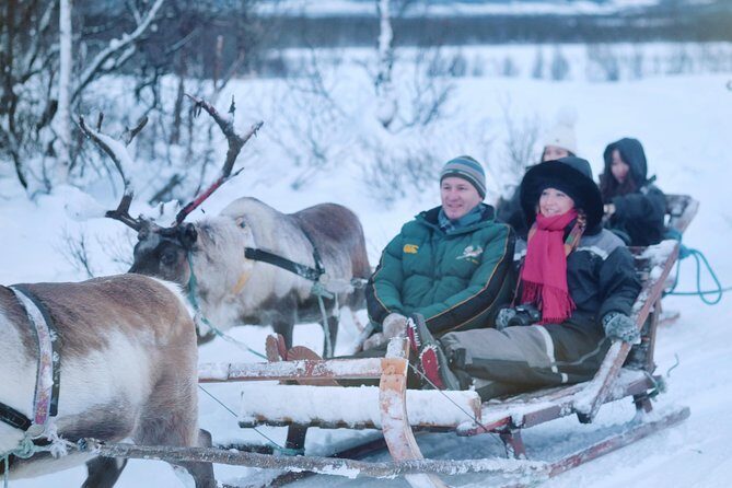 Reindeer Sledding and Feeding with Sami Culture in Tromso. - Who Is This Tour Best For?