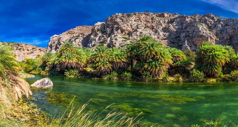 Rethymno/Chania: Preveli Beach and Kourtaliotiko Gorge Tour - The Transportation & Logistics
