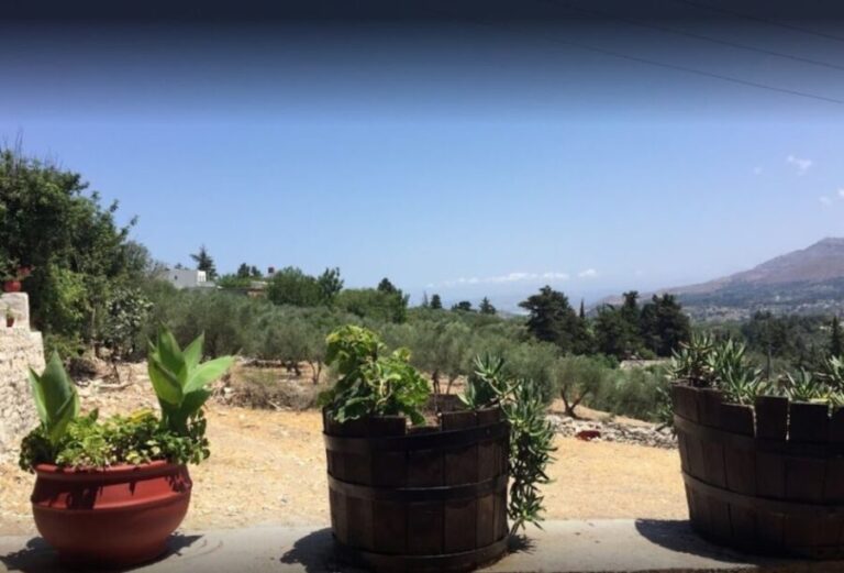 Rethymno: Private Winery & Olive Oil Tasting Tour with Lunch - A Deep Dive into the Experience