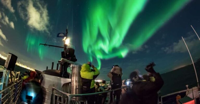 Reykjavik: 2-Hour Northern Lights by Boat with Backup Plan - Why This Tour Offers Great Value