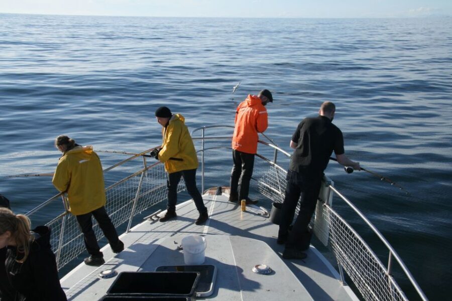 Reykjavik: 3-Hour Sea Angling Gourmet Experience Tour - Who Is This Tour Best For?