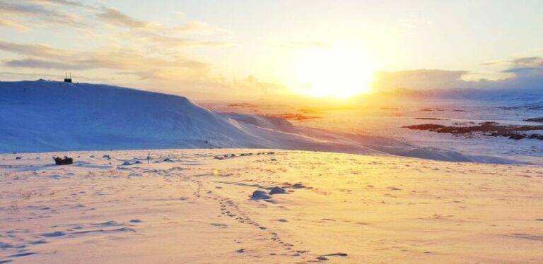 Reykjavik: Buggy Safari Tour with Hotel Transfers - Why This Tour Offers Amazing Value