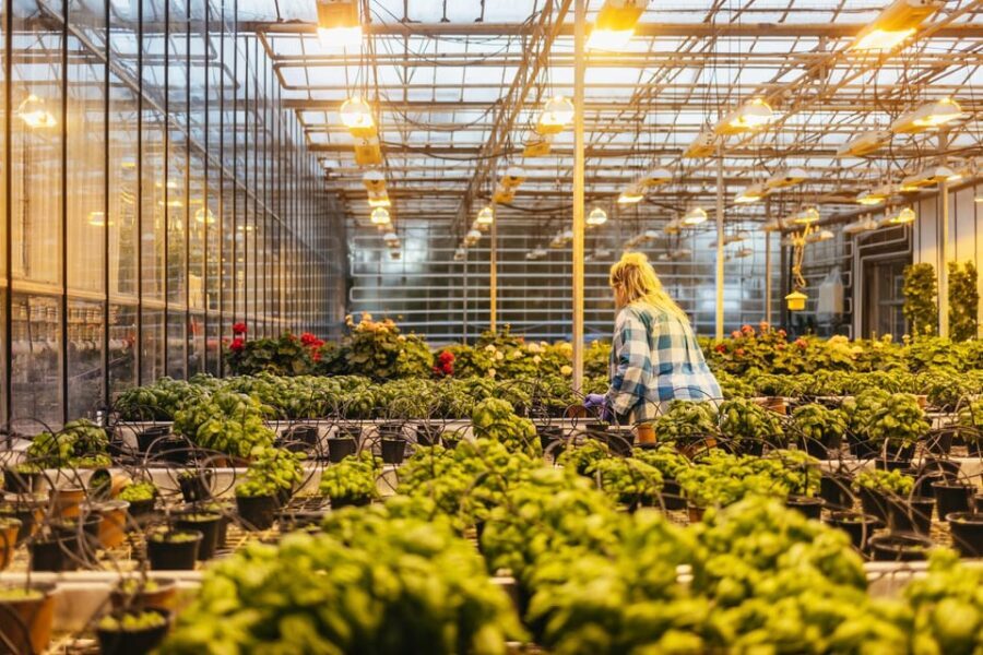 Reykjavik: Golden Circle, Kerid, and Fridheimar Minibus Tour - The Iconic Golden Circle Stops