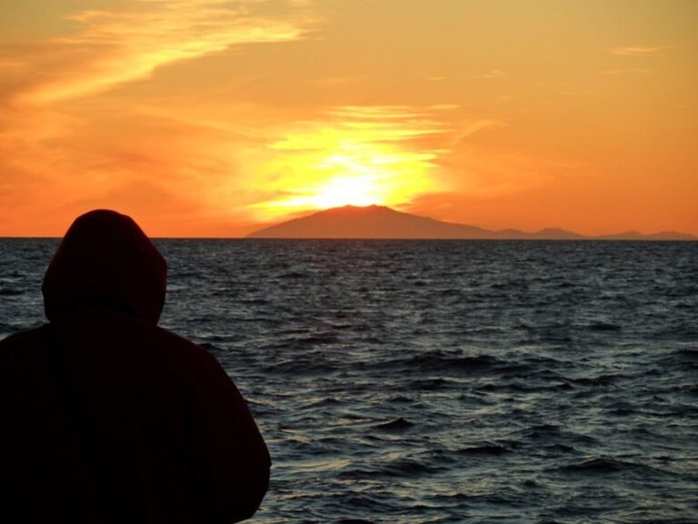 Reykjavik: Midnight Sun Whale Watching Tour - Who is This Tour Best For?
