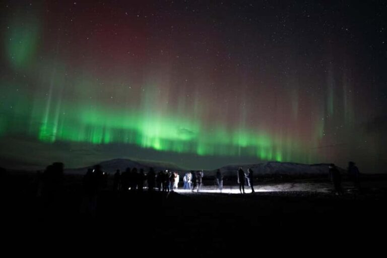 Reykjavik: Northern Lights Comfort Coach with Surprise - Viewing Experience and What to Expect