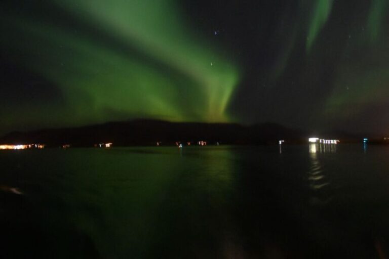 Reykjavik: Northern Lights Guided Boat Tour - The Real Deal: What the Reviews Say