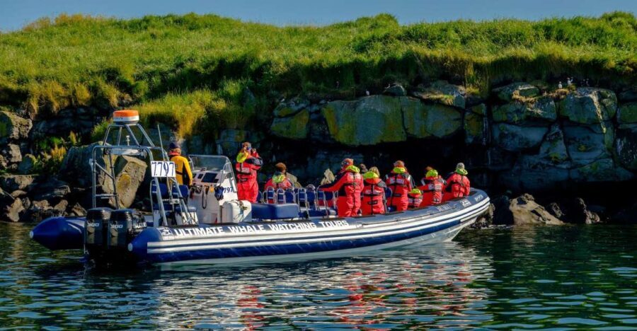 Reykjavik: Puffin Watching Tour - What to Expect on the Tour