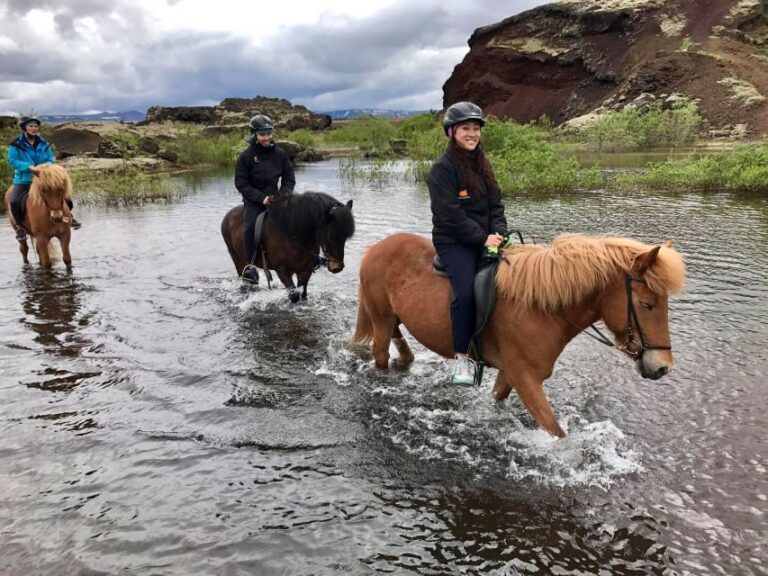 Reykjavik: Small-Group Horse Volcano Riding Tour with Pickup - What Reviewers Say