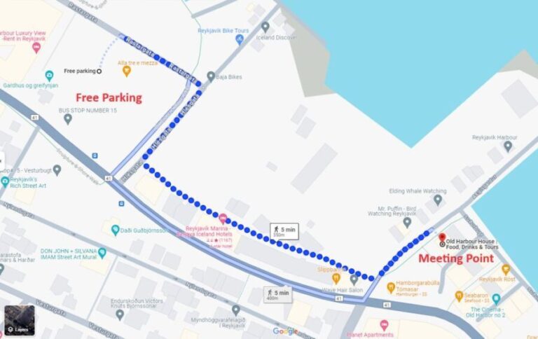 Reykjavík: Whale Watching and Marine Life Cruise - The Experience in Detail: Why This Tour Is Worth It