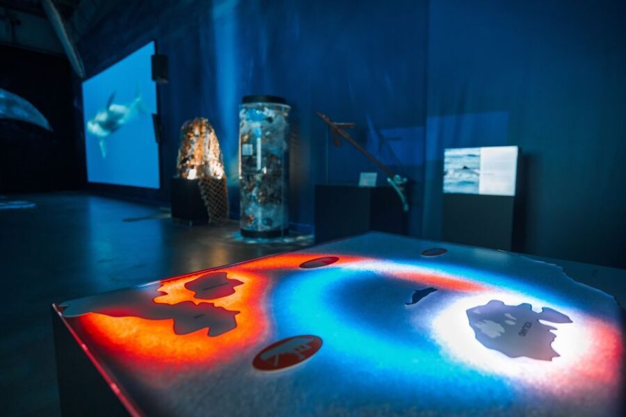 Reykjavik: Whales of Iceland Museum Entrance Ticket - The Sum Up: Is the Whales of Iceland Museum Worth It?