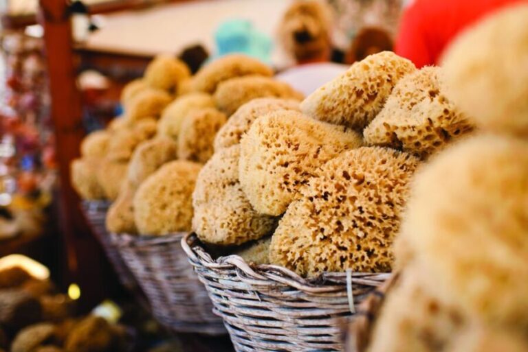 Rhodes: Day Trip to Symi Island by Fast Boat - How the Tour Works: From Rhodes to Symi in a Day