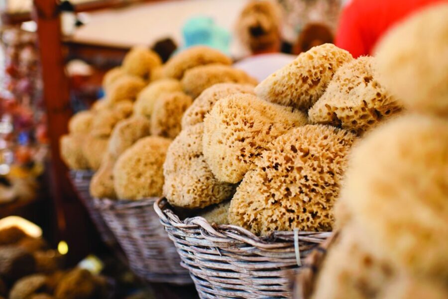 Rhodes: Day Trip to Symi Island by Fast Boat - How the Tour Works: From Rhodes to Symi in a Day