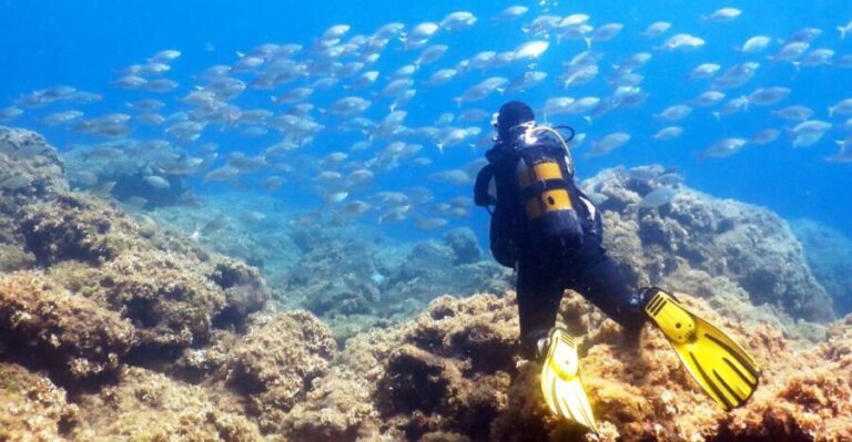 Rhodes: Diving Adventure for Beginners and Experts - The Itinerary Explored