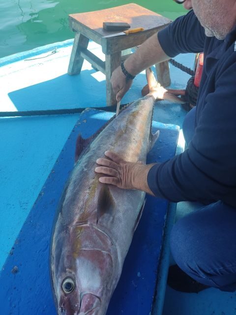 Rhodes Town: Fishing Boat Trip with Fish Meal and Swim Stops - What Sets This Trip Apart?