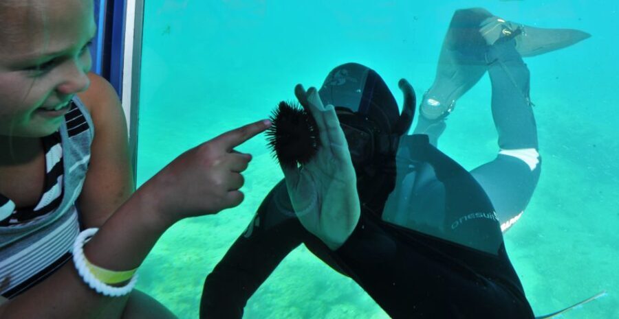 Rhodes Town: Yellow Submarine Cruise with Underwater Views - What to Expect During Your Trip