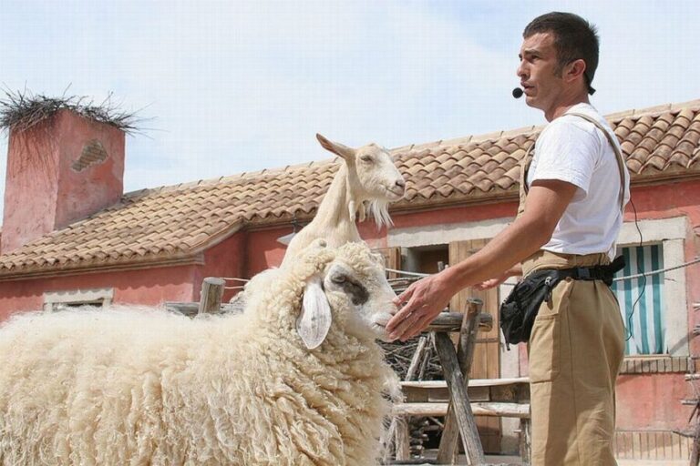 Riccione: Oltremare Park Entrance Ticket - The Main Attractions and What Youll Experience