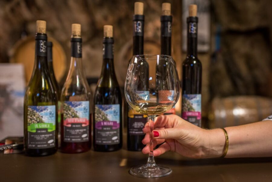 Riomaggiore: Vineyard & Wine Cellar Tour with Wine Tasting - Who Will Love This Tour?