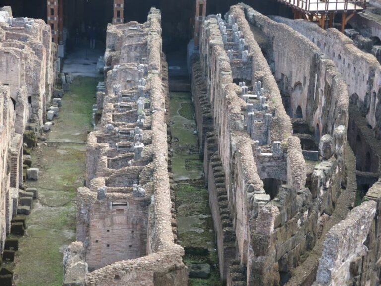 Rome: Colosseum Arena Floor, Roman Forum & Palatine Tour - Why This Tour Stands Out