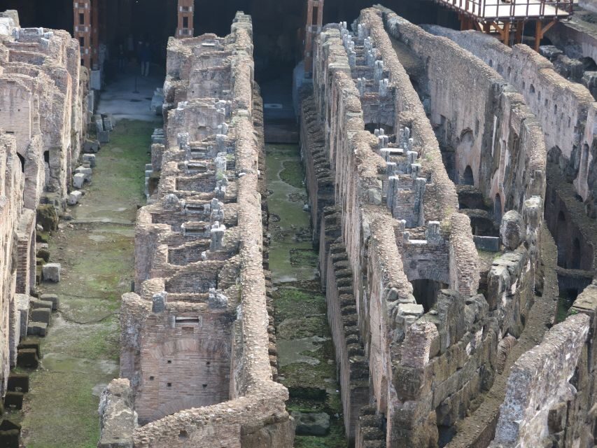 Rome: Colosseum Arena Floor, Roman Forum & Palatine Tour - Why This Tour Stands Out