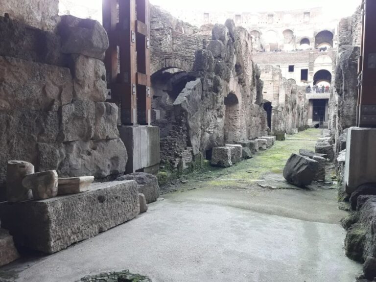 Rome: Colosseum Underground Small Group Guided Tour - What to Expect During the Tour
