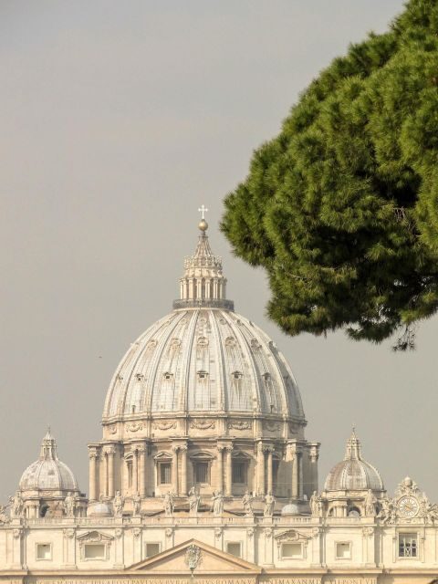Rome: St. Peter's Basilica Guided Tour with access to Dome - Itinerary Breakdown: What You’ll Experience