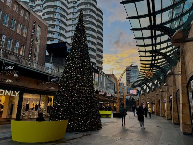 Rotterdam: WaterShuttle Ticket to Kinderdijk - Detailed Breakdown of the Trip and What to Expect