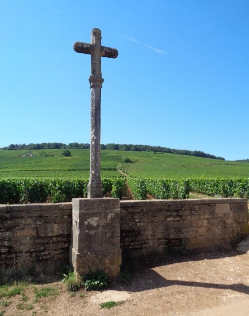 "Route des grands crus", private wine tasting in Burgundy ! - Who Will Love This Tour?