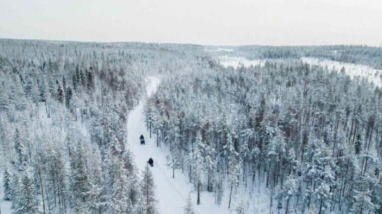 Rovaniemi: 3-Hour Snowmobile Safari in Lapland - The Practicalities: What’s Included and What’s Not