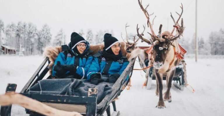 Rovaniemi: Apukka Reindeer Journey - The Authentic Experience: Pros and Cons