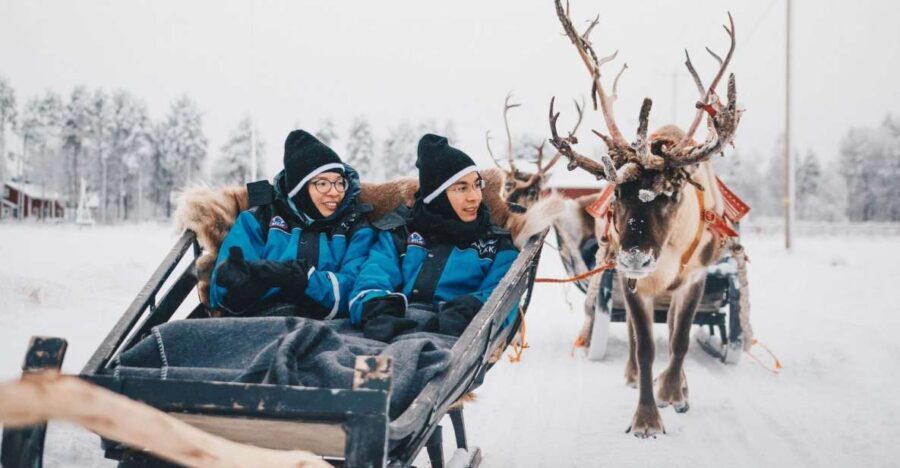 Rovaniemi: Apukka Reindeer Journey - The Authentic Experience: Pros and Cons