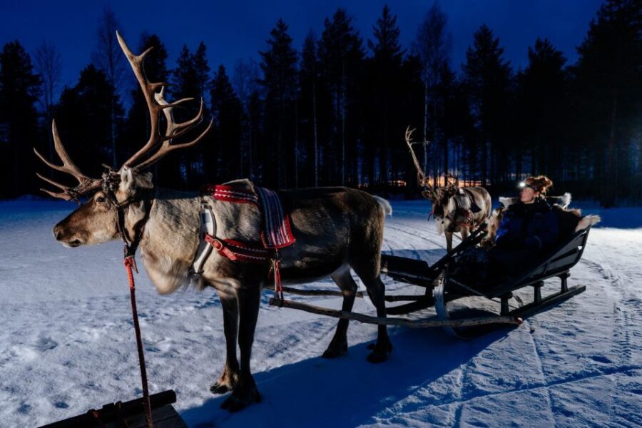 Rovaniemi: Apukka Reindeer Sleigh Ride at Night - Practical Details and Tips