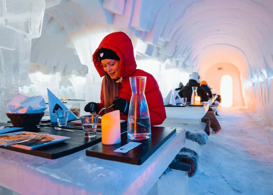 Rovaniemi: Arctic SnowHotel Tour and Dinner with Transfers - What’s Included and What’s Not