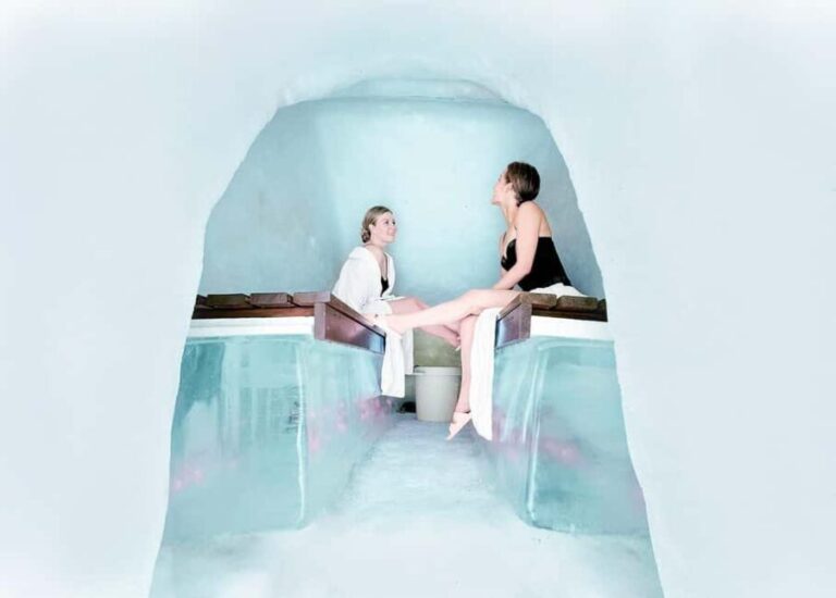 Rovaniemi: Arctic SnowHotel Tour and Snow Sauna Experience - Who Will Love This Tour?