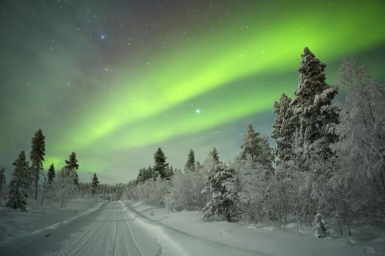 Rovaniemi: Aurora Borealis Snowmobile Safari with Campfire - What Makes This Tour Stand Out?