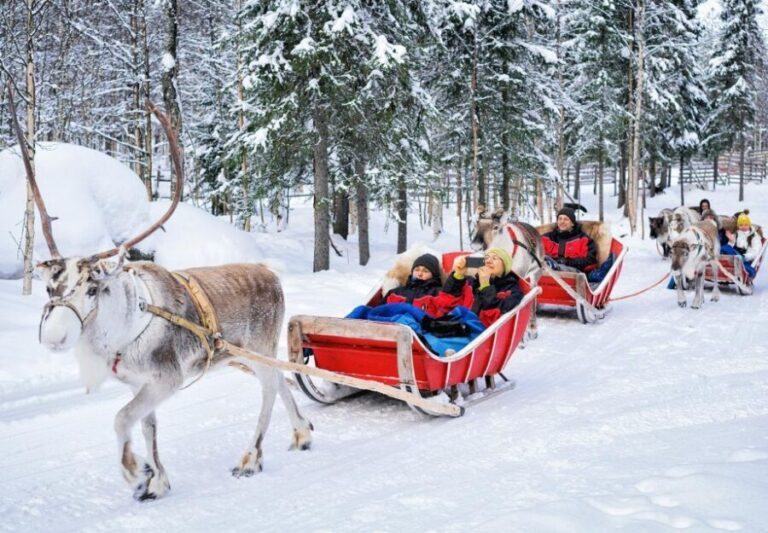 Rovaniemi: Authentic Reindeer Farm Visit & Short Sleigh Ride - The Sum Up: Is This Tour Worth It?